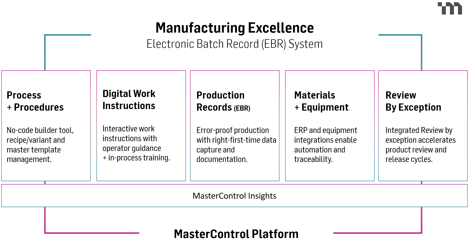 MasterControl eBR